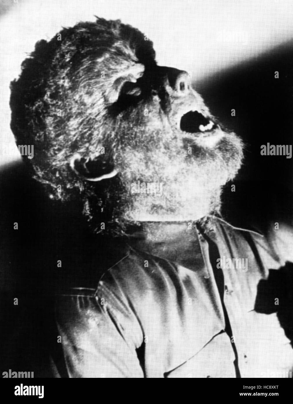 THE WOLF MAN, Lon Chaney Jr, 1941 Stock Photo - Alamy