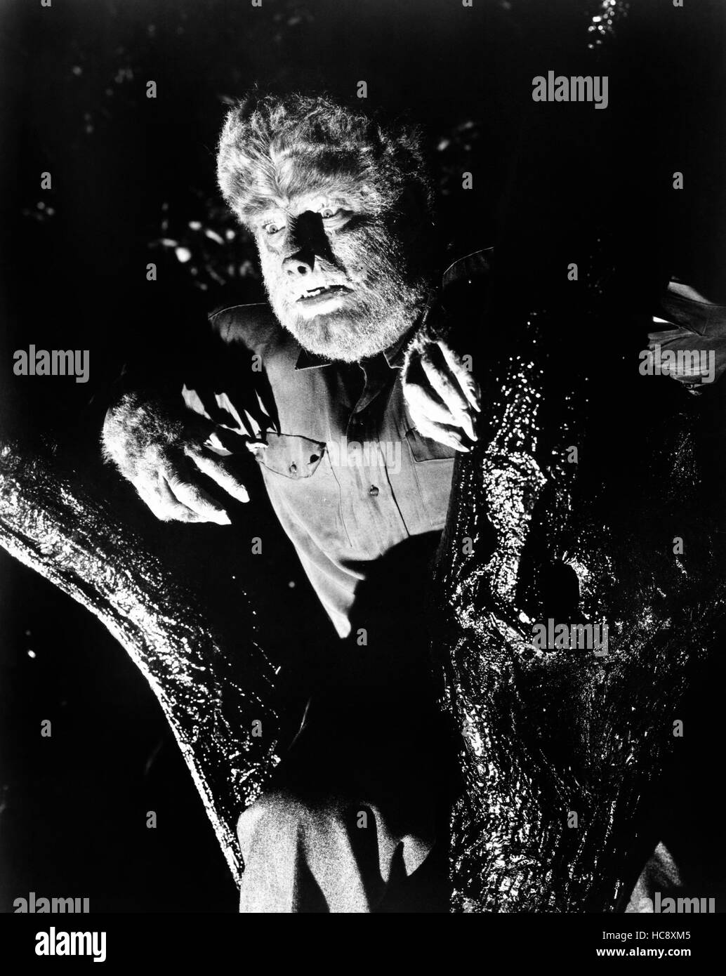 THE WOLF MAN, Lon Chaney Jr., 1941 Stock Photo - Alamy