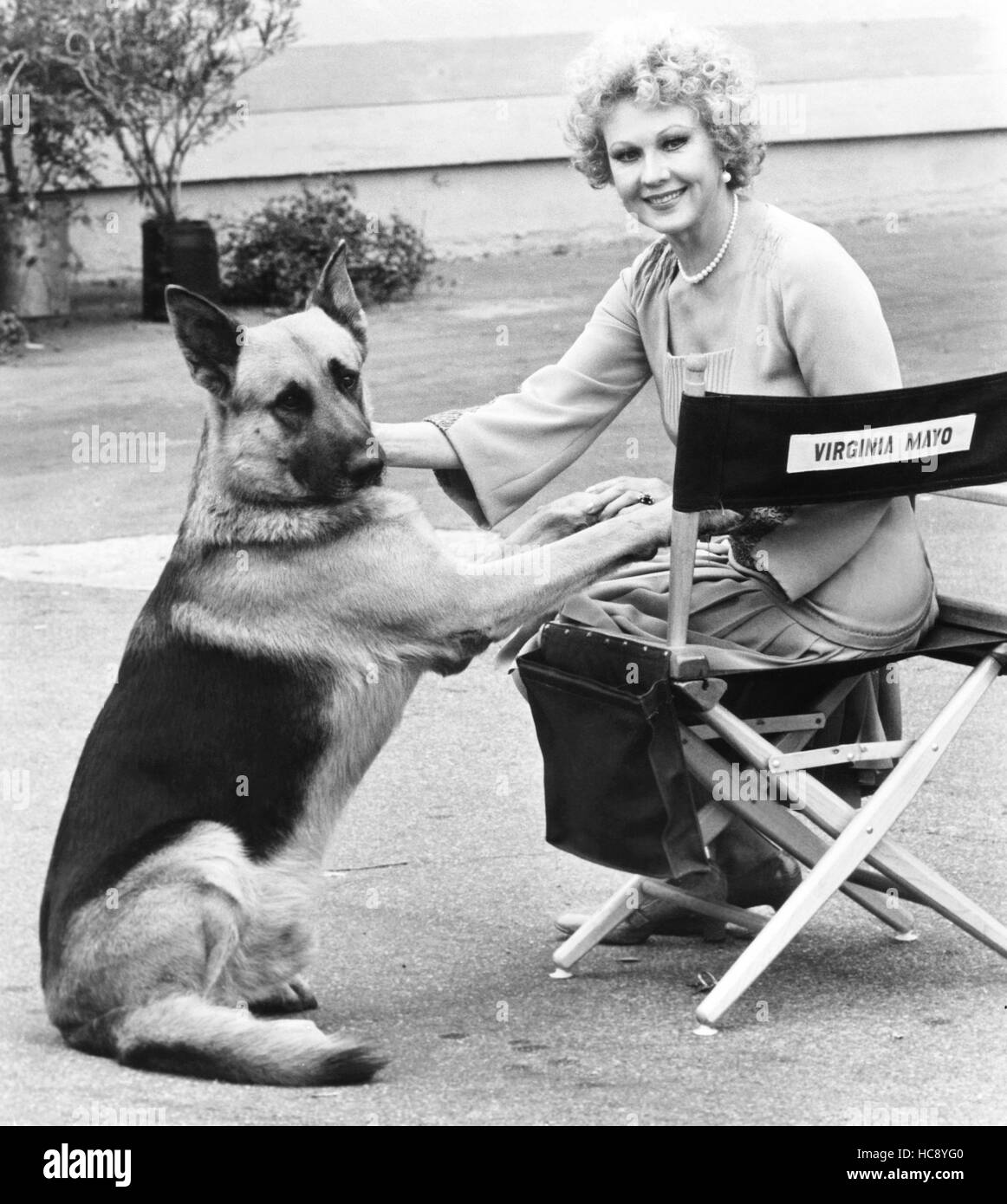 WON TON TON: THE DOG WHO SAVED HOLLYWOOD, Virginia Mayo, 1976 Stock ...