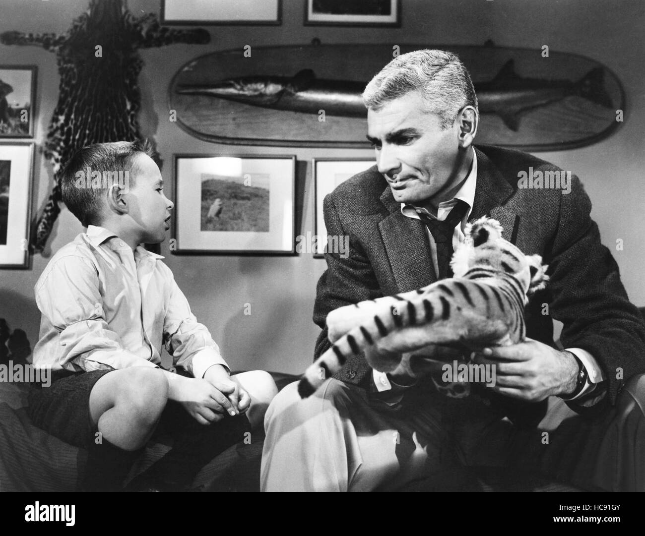 THE TOY TIGER, from left, Tim Hovey, Jeff Chandler, 1956 Stock Photo ...