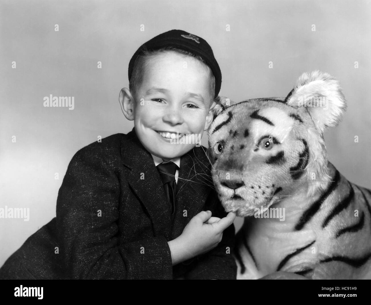THE TOY TIGER, Tim Hovey, 1956 Stock Photo - Alamy