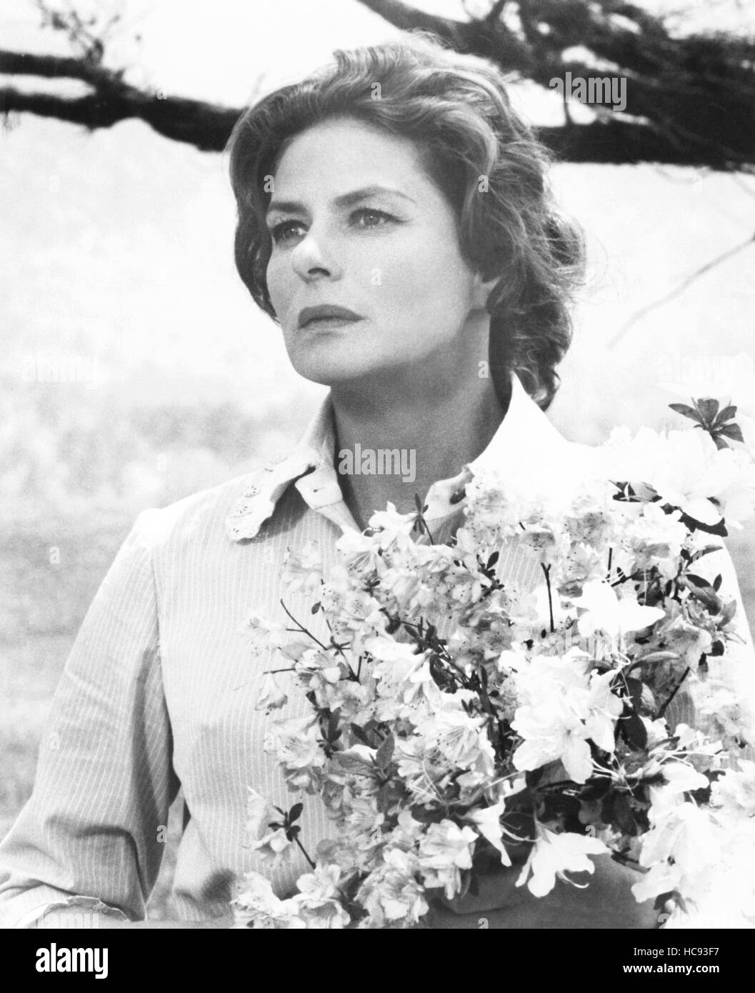 A WALK IN THE SPRING RAIN, Ingrid Bergman, 1970 Stock Photo - Alamy
