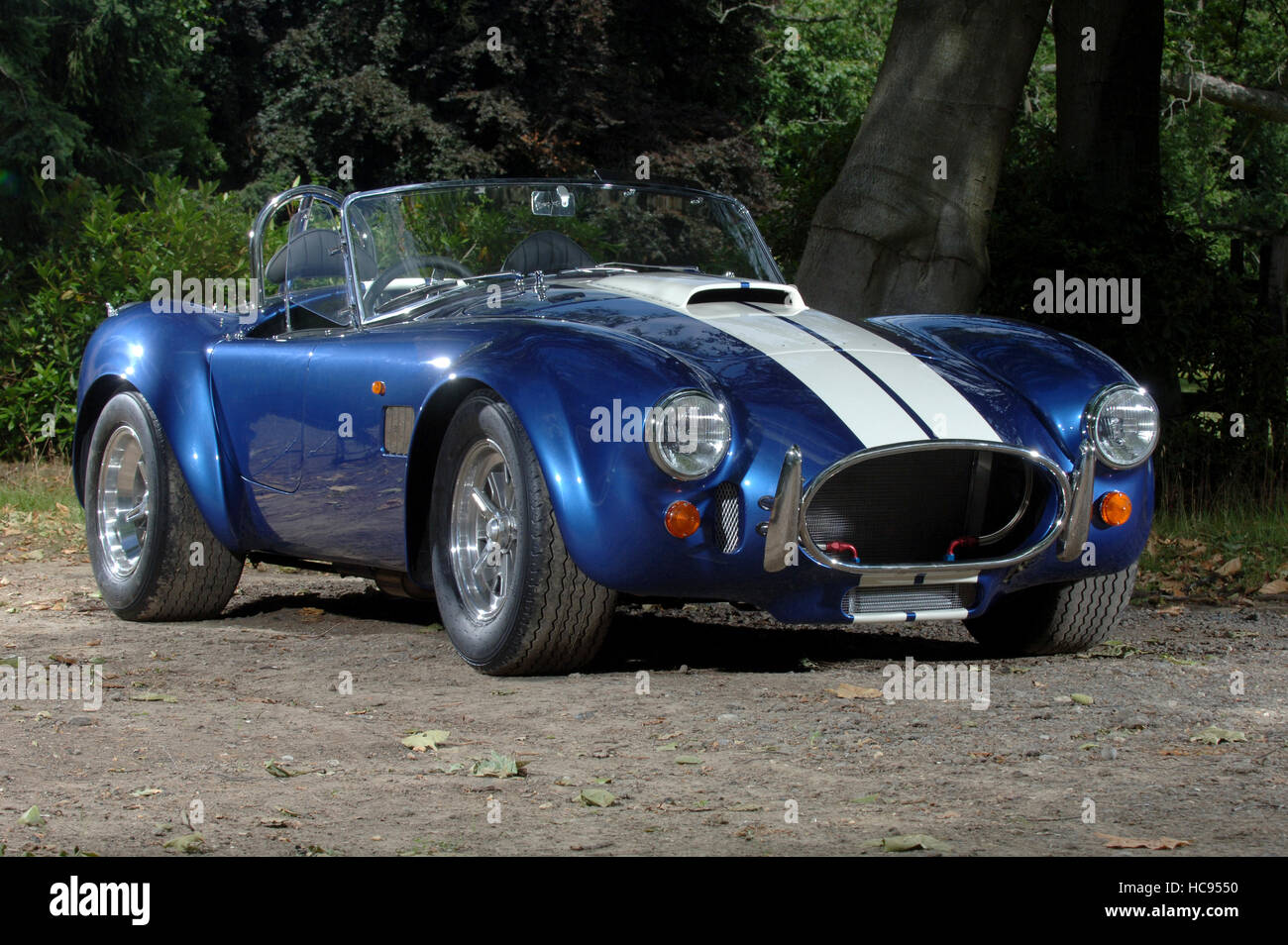Original ac cobra hi-res stock photography and images - Alamy