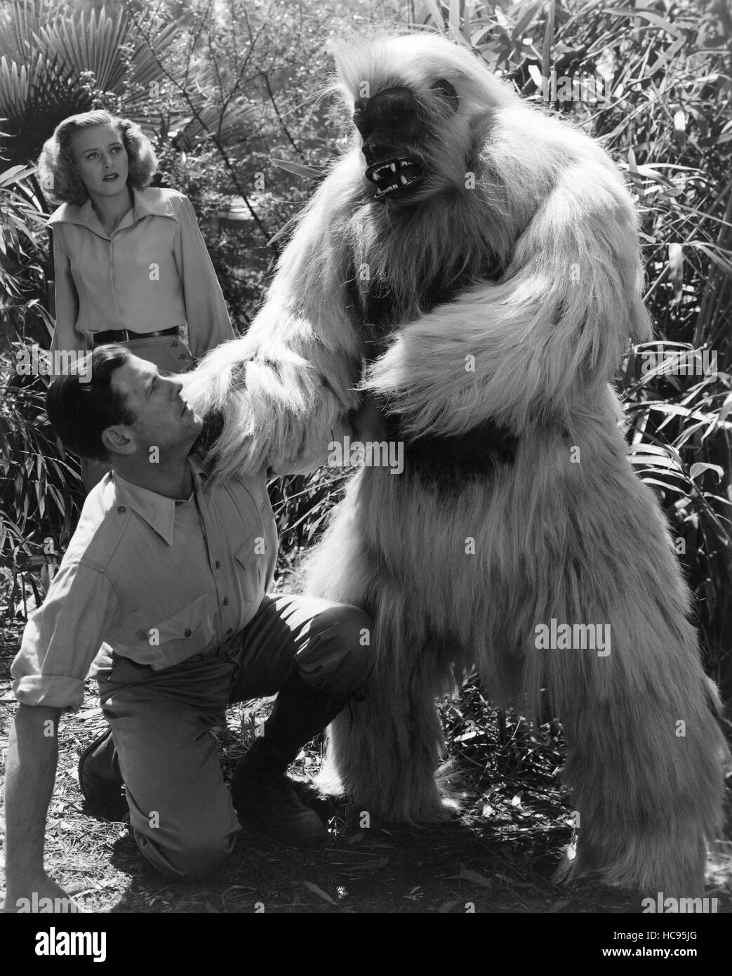 WHITE PONGO, Maris Wrixon (back left), Richard Fraser (front left), Ray ...