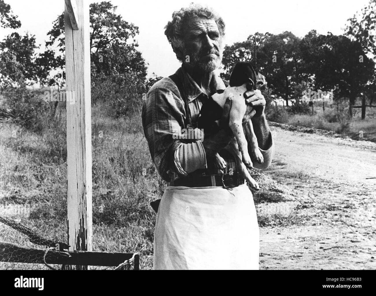 James Whitmore Where The Red Fern Grows