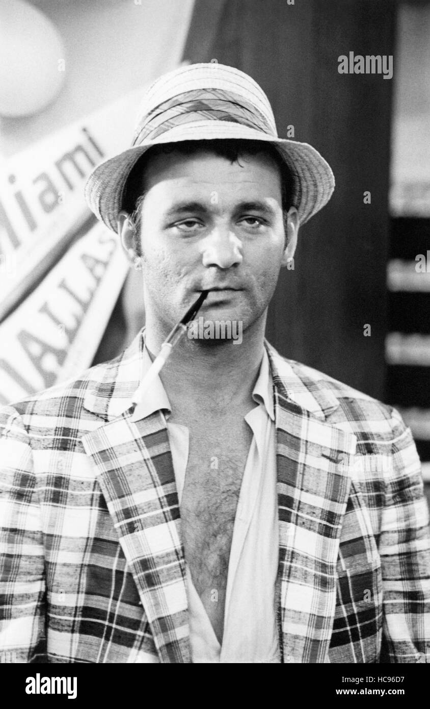 Bill murray where the buffalo roam hi-res stock photography and images ...