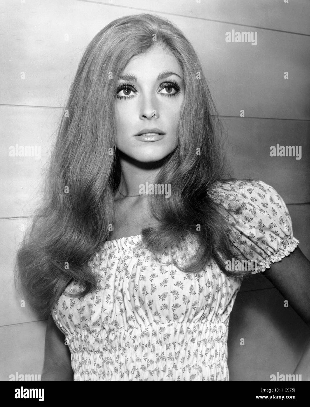 THE WRECKING CREW, Sharon Tate, 1969 Stock Photo - Alamy