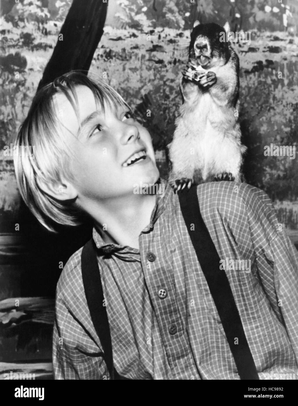 THE YEARLING, Claude Jarman, Jr., befriending a squirrel on-set, April ...