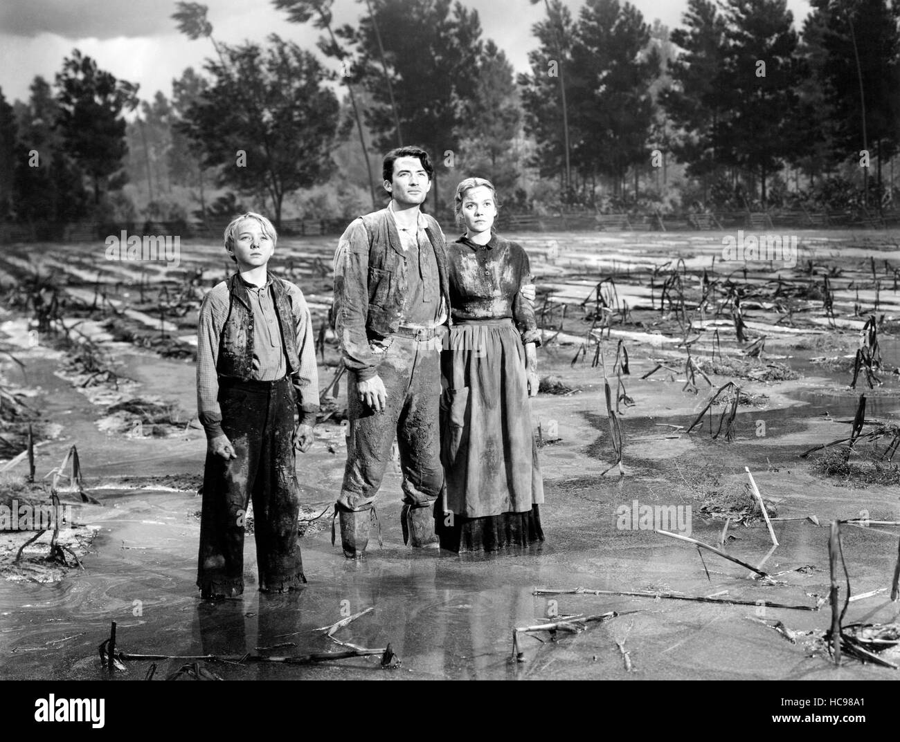 THE YEARLING, from left: Claude Jarman Jr., Gregory Peck, Jane Wyman ...