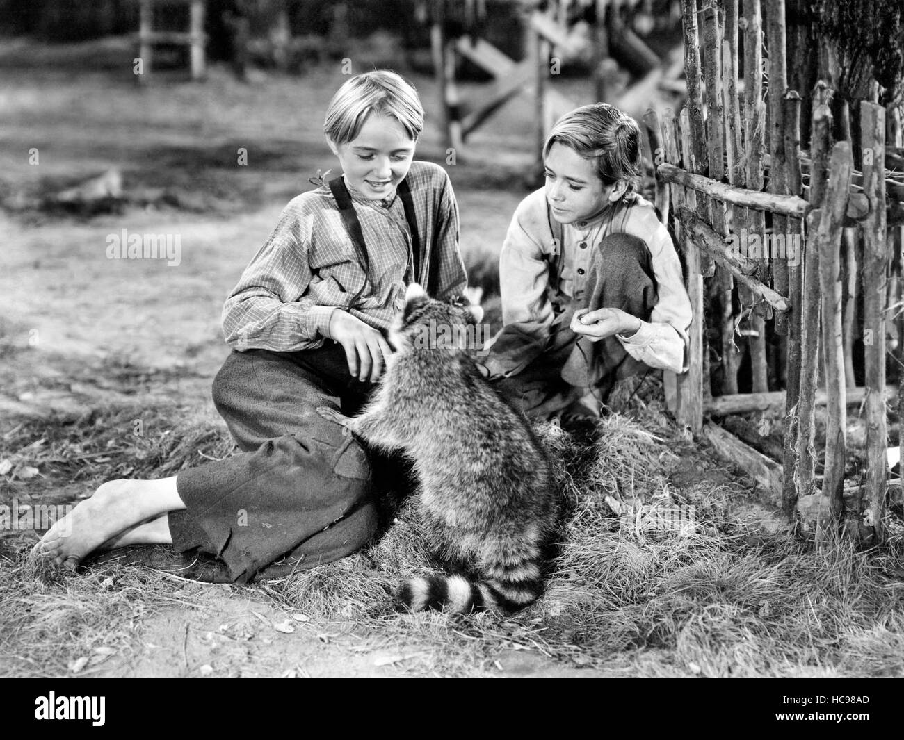 THE YEARLING, from left: Claude Jarman Jr., Donn Gift, 1946 Stock Photo ...