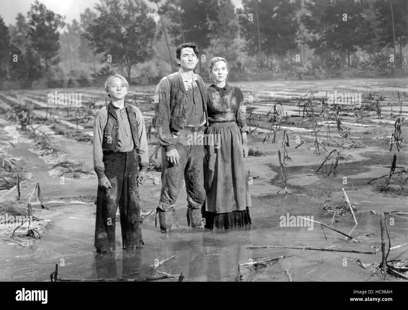 THE YEARLING, from left, Claude Jarman, Jr., Gregory Peck, Jane Wyman ...