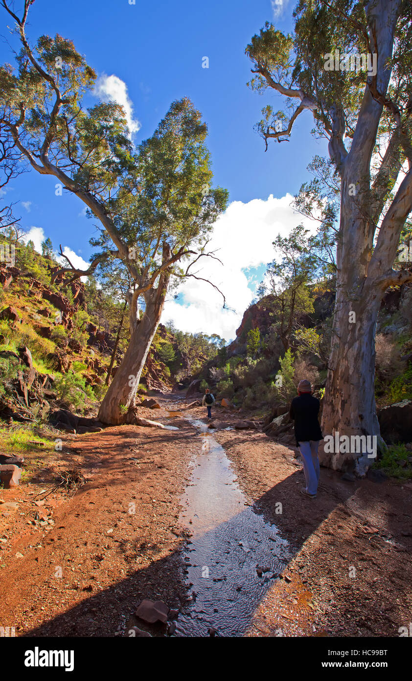 Sacred Canyon Flinders Ranges South Australia Stock Photo - Alamy