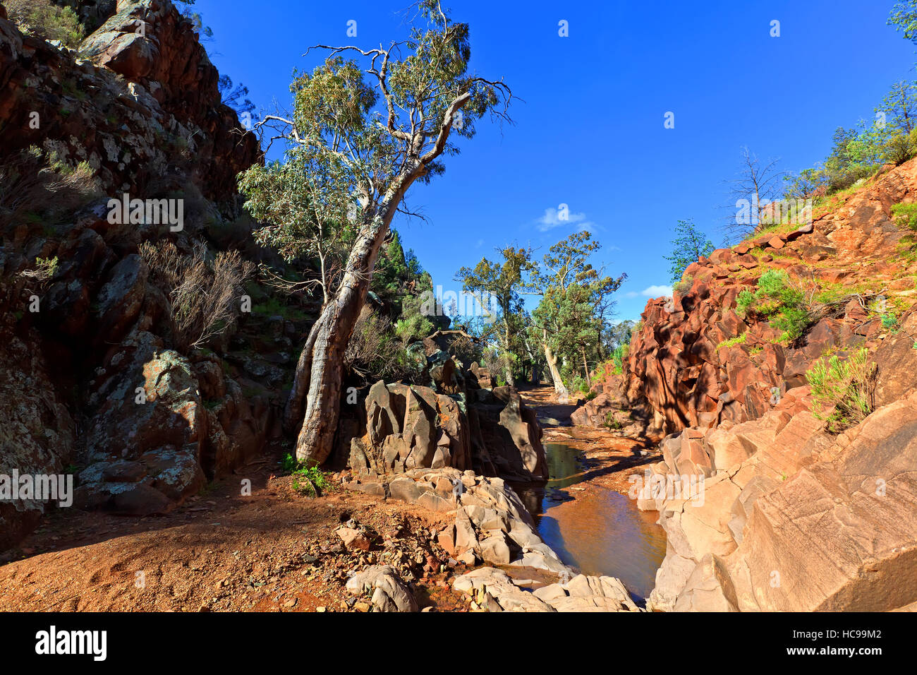 Sacred Canyon Flinders Ranges South Australia Stock Photo - Alamy