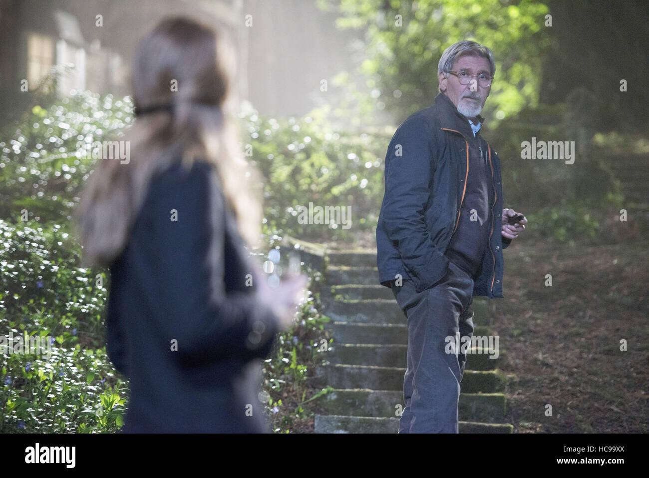 THE AGE OF ADALINE, Harrison Ford, 2015. ph: Diyah Pera/©Lionsgate ...