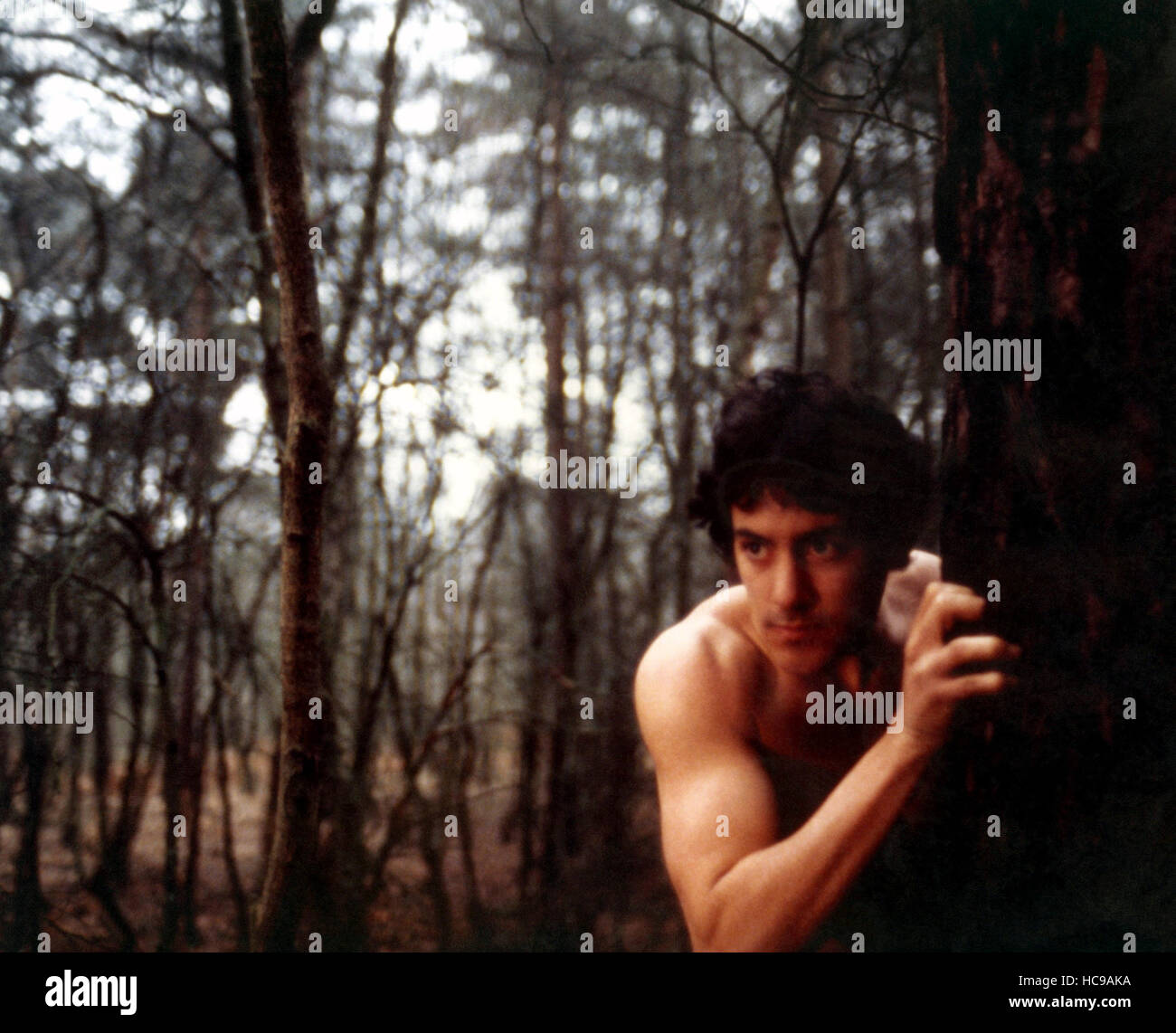 AN AMERICAN WEREWOLF IN LONDON, David Naughton, 1981, (c) Universal ...