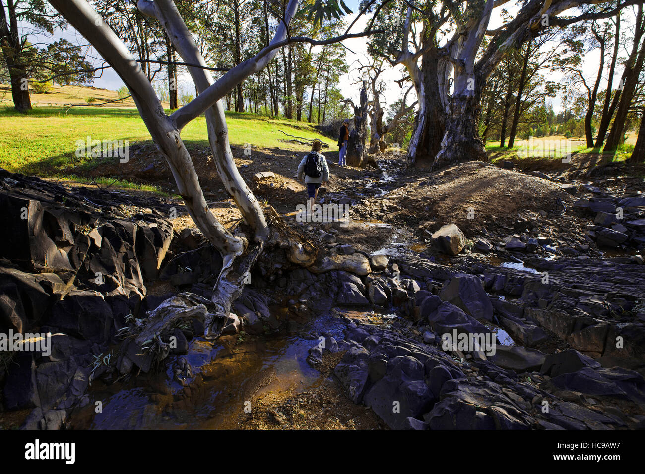 Sacred Canyon Flinders Ranges South Australia Stock Photo - Alamy