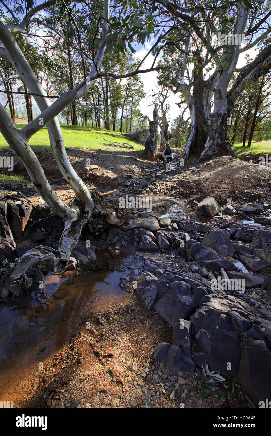 Sacred Canyon Flinders Ranges South Australia Stock Photo - Alamy