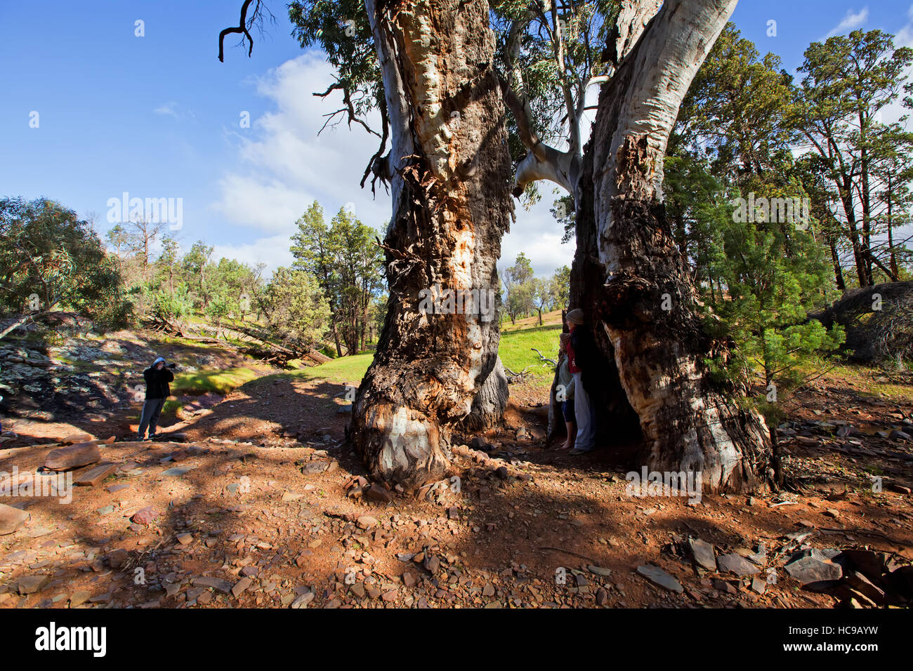 Sacred Canyon Flinders Ranges South Australia Stock Photo - Alamy