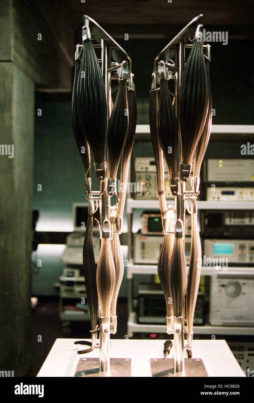 ANATOMIE 2, (aka ANATOMY 2), 2003. ©Columbia TriStar Home Entertainment ...