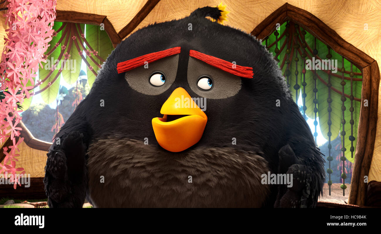 ANGRY BIRDS, (aka THE ANGRY BIRDS MOVIE), Bomb (voice Danny McBride ...