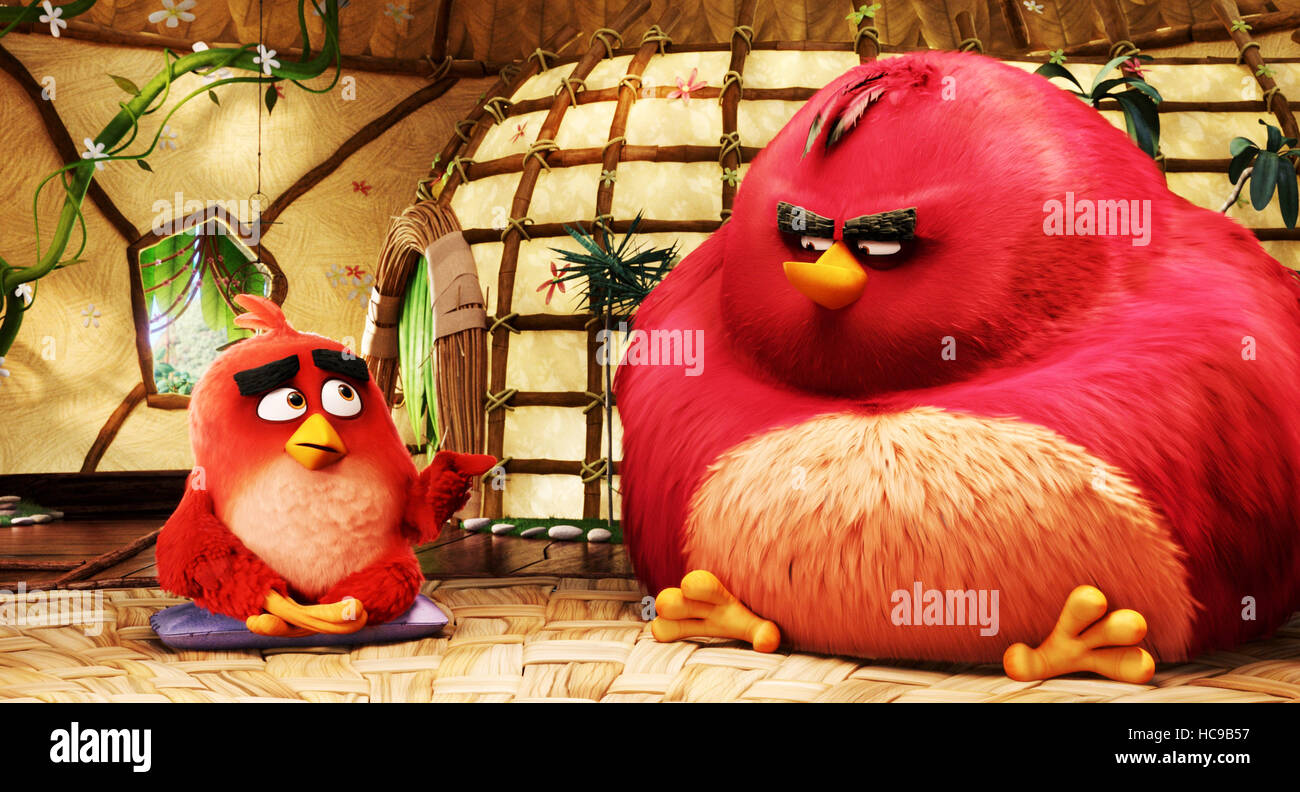 ANGRY BIRDS, (aka THE ANGRY BIRDS MOVIE), from left: Red (voice: Jason ...