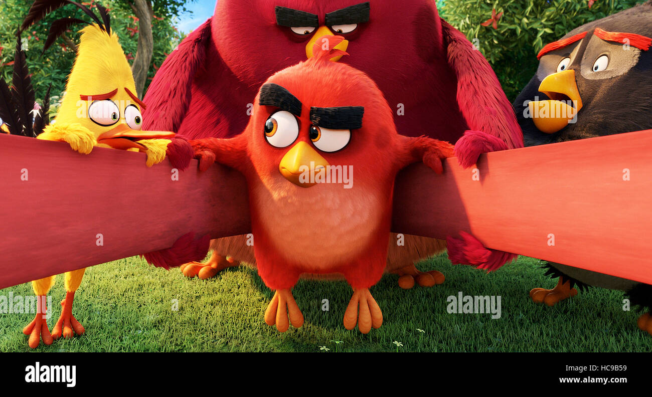 ANGRY BIRDS, (aka THE ANGRY BIRDS MOVIE), from left: Chuck (voice: Josh ...
