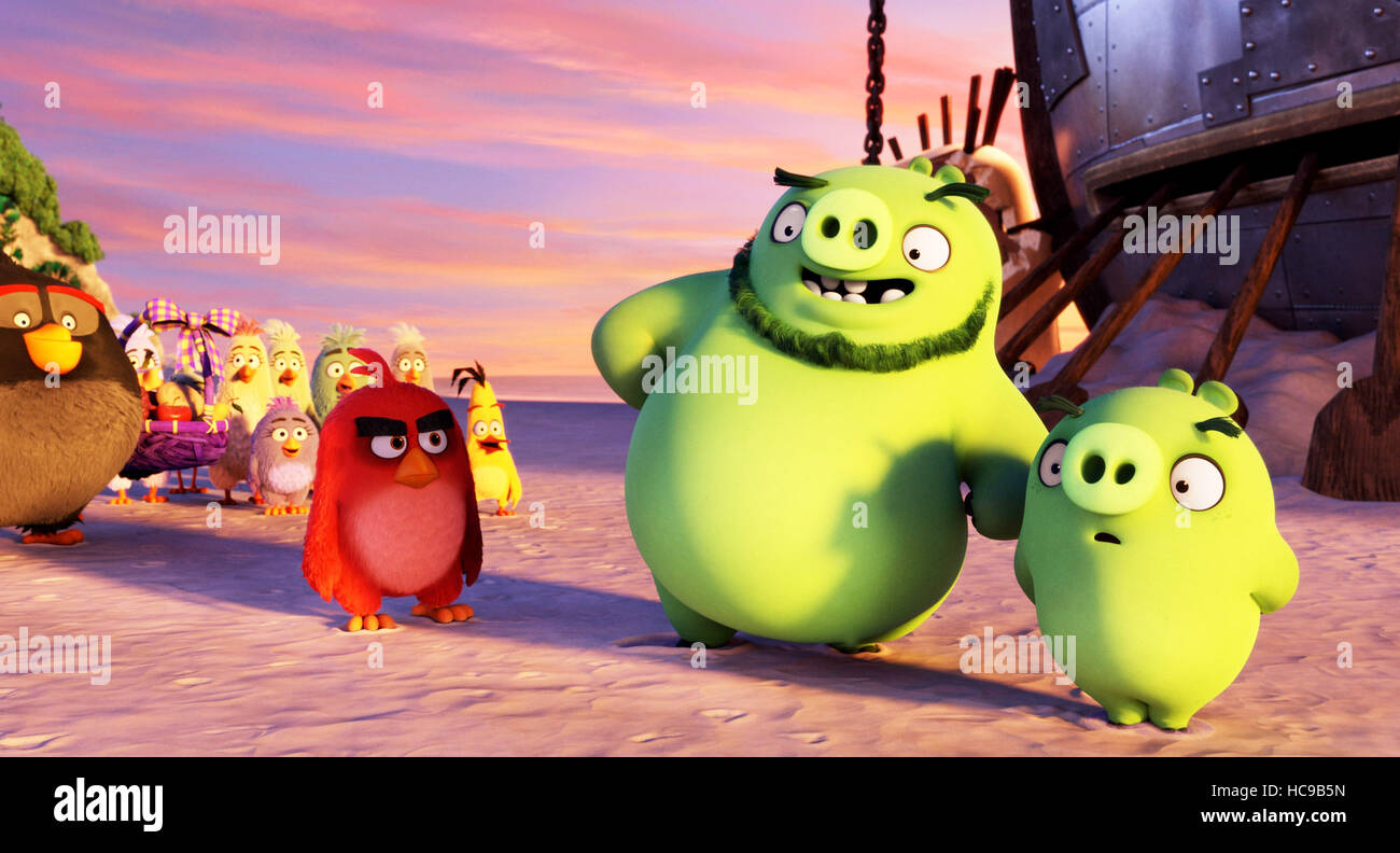 ANGRY BIRDS, (aka THE ANGRY BIRDS MOVIE), foreground from left: Red ...