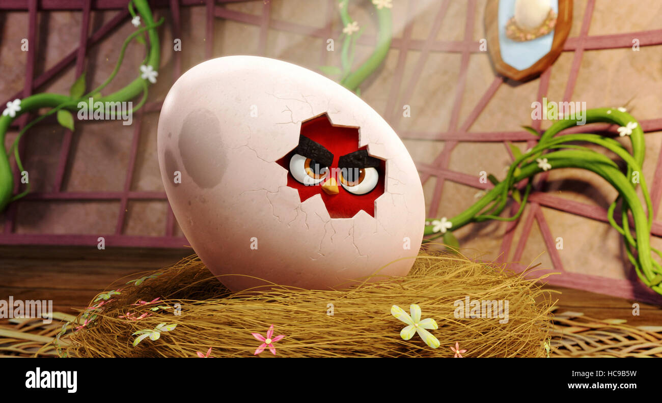 ANGRY BIRDS, (aka THE ANGRY BIRDS MOVIE), Red (voice Jason Sudeikis ...
