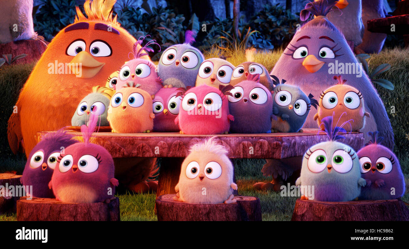 ANGRY BIRDS, (aka THE ANGRY BIRDS MOVIE), the hatchlings, 2016 ...