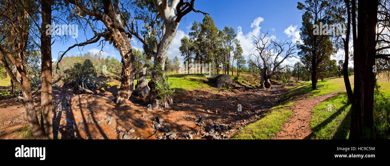 Sacred Canyon Flinders Ranges South Australia Stock Photo - Alamy