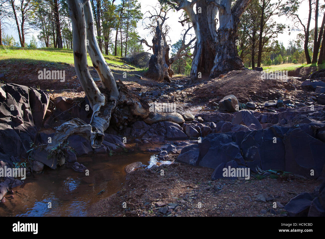 Sacred Canyon Flinders Ranges South Australia Stock Photo - Alamy