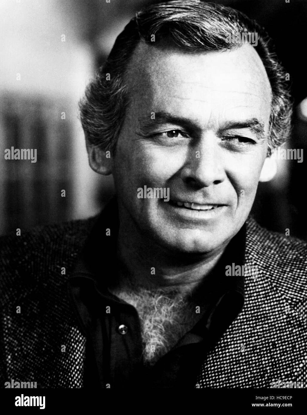 TWO-MINUTE WARNING, David Janssen, 1976 Stock Photo - Alamy