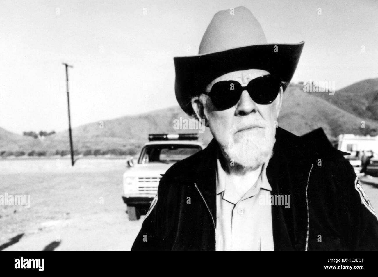 TWO MOON JUNCTION, Burl Ives, 1988 Stock Photo - Alamy