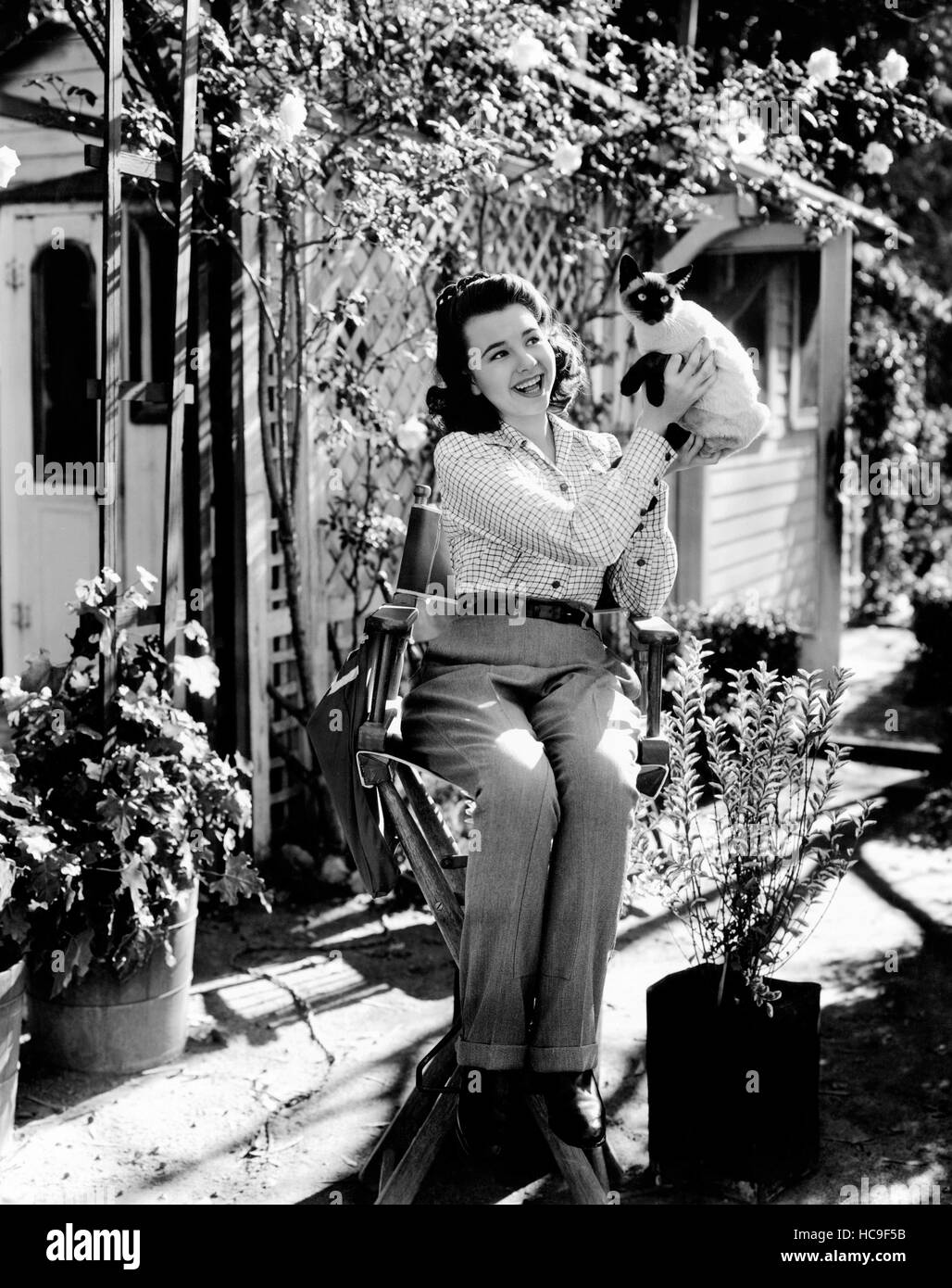 A VERY YOUNG LADY, Jane Withers, on-set with a Siamese cat, 'Thai ...