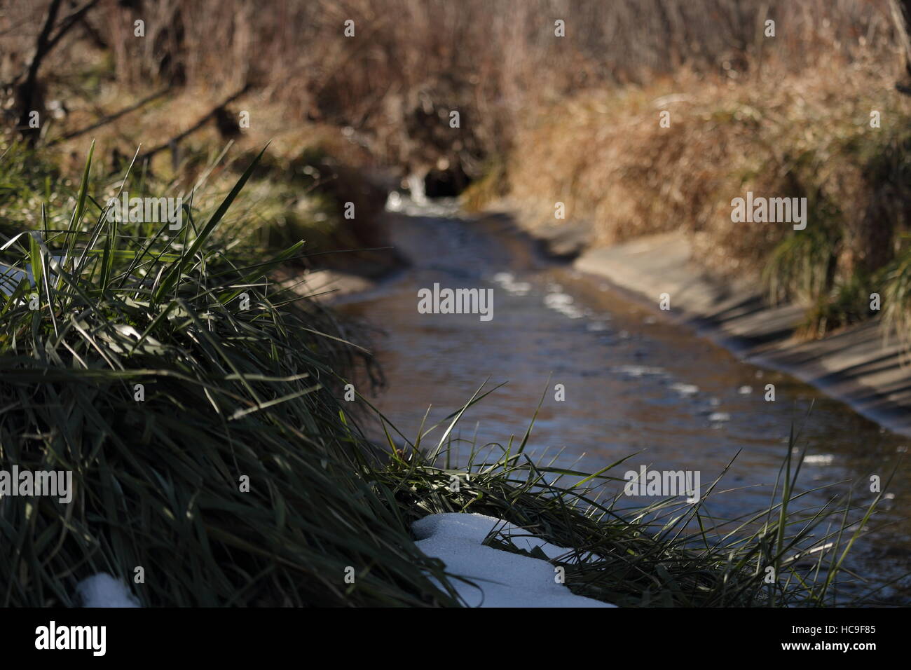 Water runoff with snow and grasses Stock Photo - Alamy