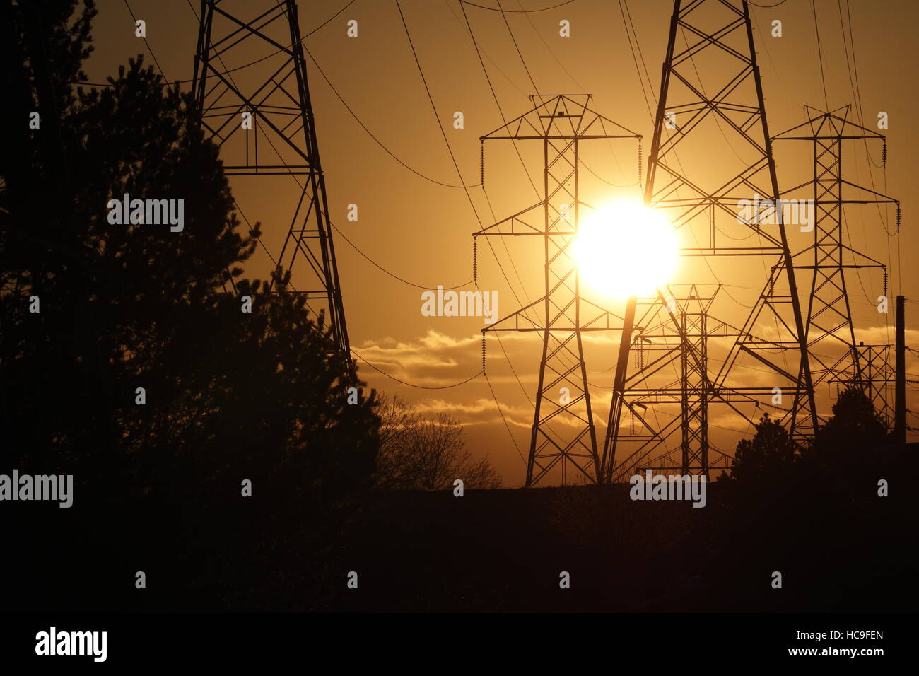 Sunset behind power transmission lines with trees Stock Photo - Alamy
