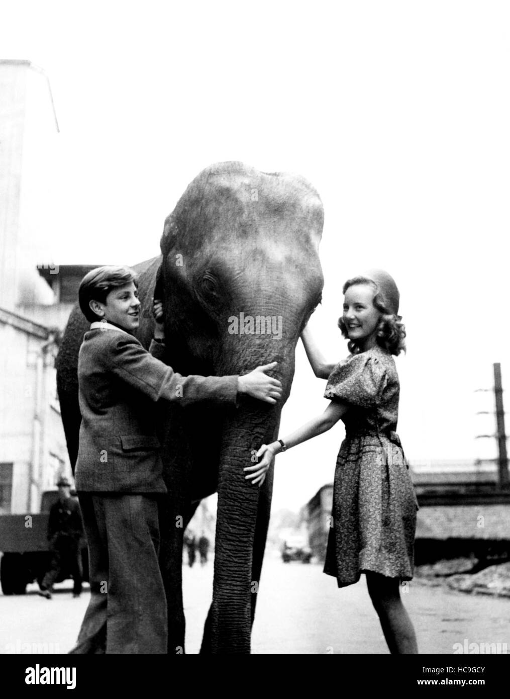 VICE VERSA, Anthony Newley, Petula Clark on set with Mary the elephant ...