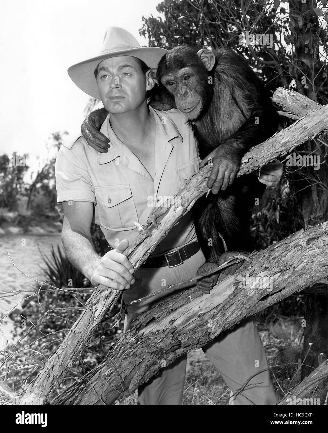 VOODOO TIGER, Johnny Weissmuller, Tamba the chimp, 1952 Stock Photo - Alamy