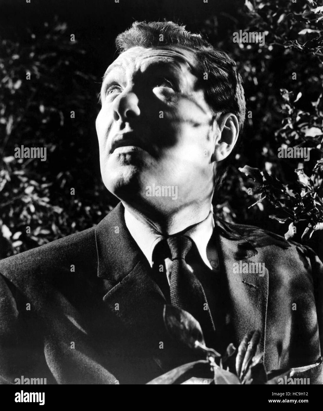 THE VULTURE, Robert Hutton, 1967 Stock Photo - Alamy