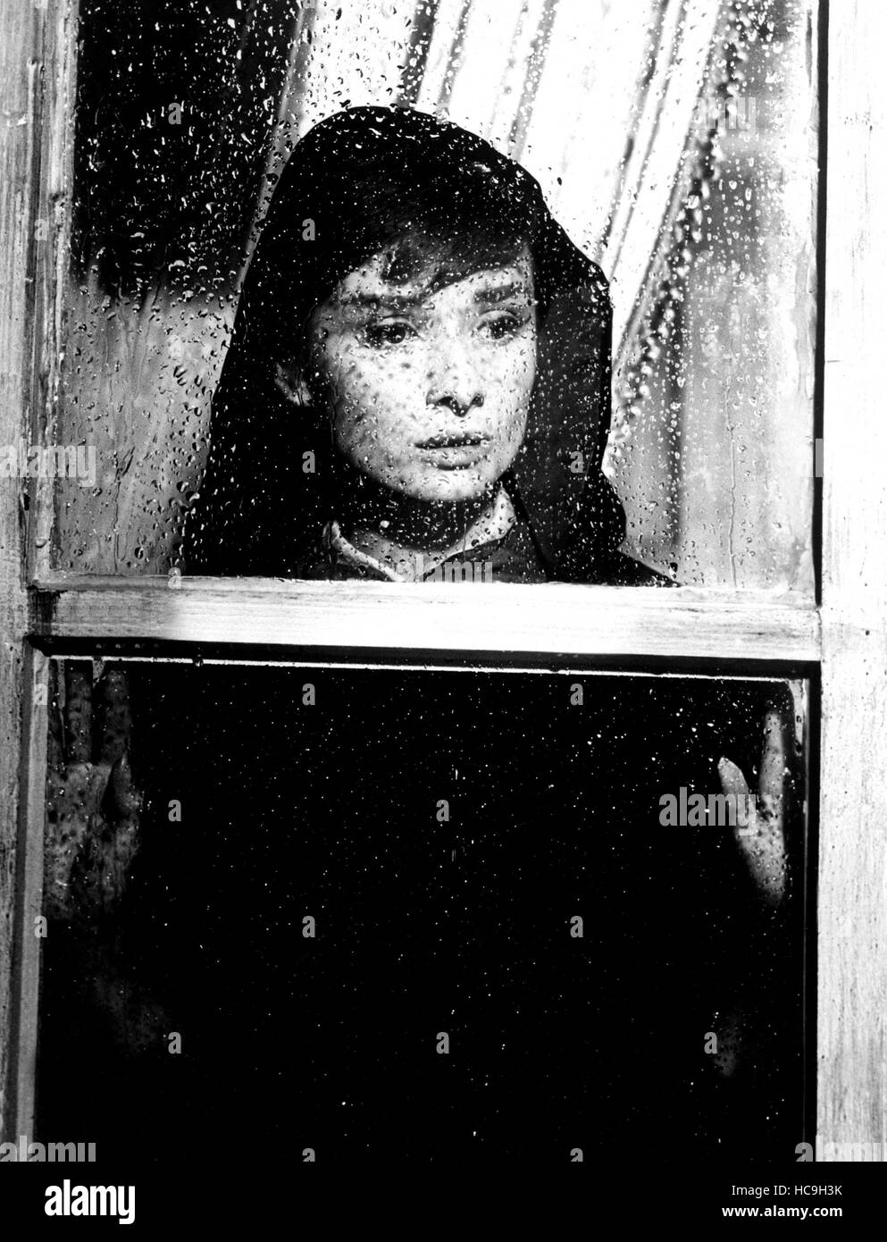 WAR AND PEACE, Audrey Hepburn, 1956 Stock Photo - Alamy