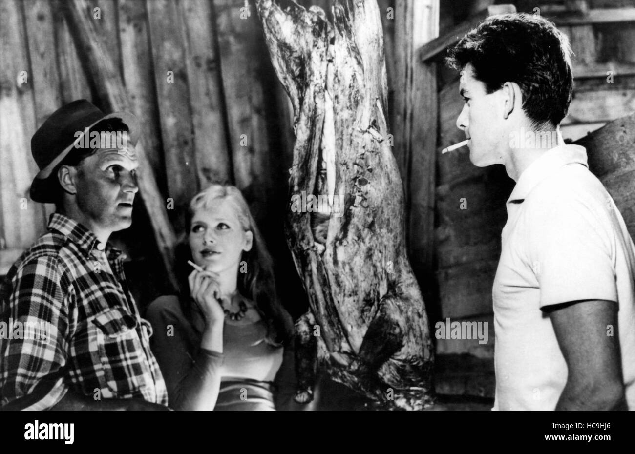 THE WAYWARD GIRL, (aka UNG FLUKT, aka YOUNG SINNERS), Liv Ullmann, 1959 ...