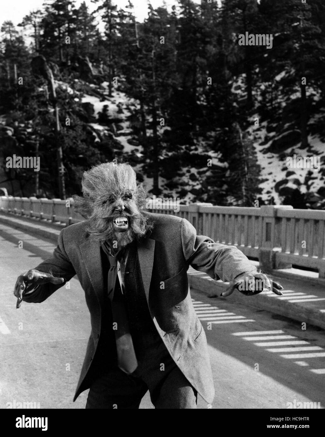 THE WEREWOLF, Steven Ritch, 1956 Stock Photo - Alamy