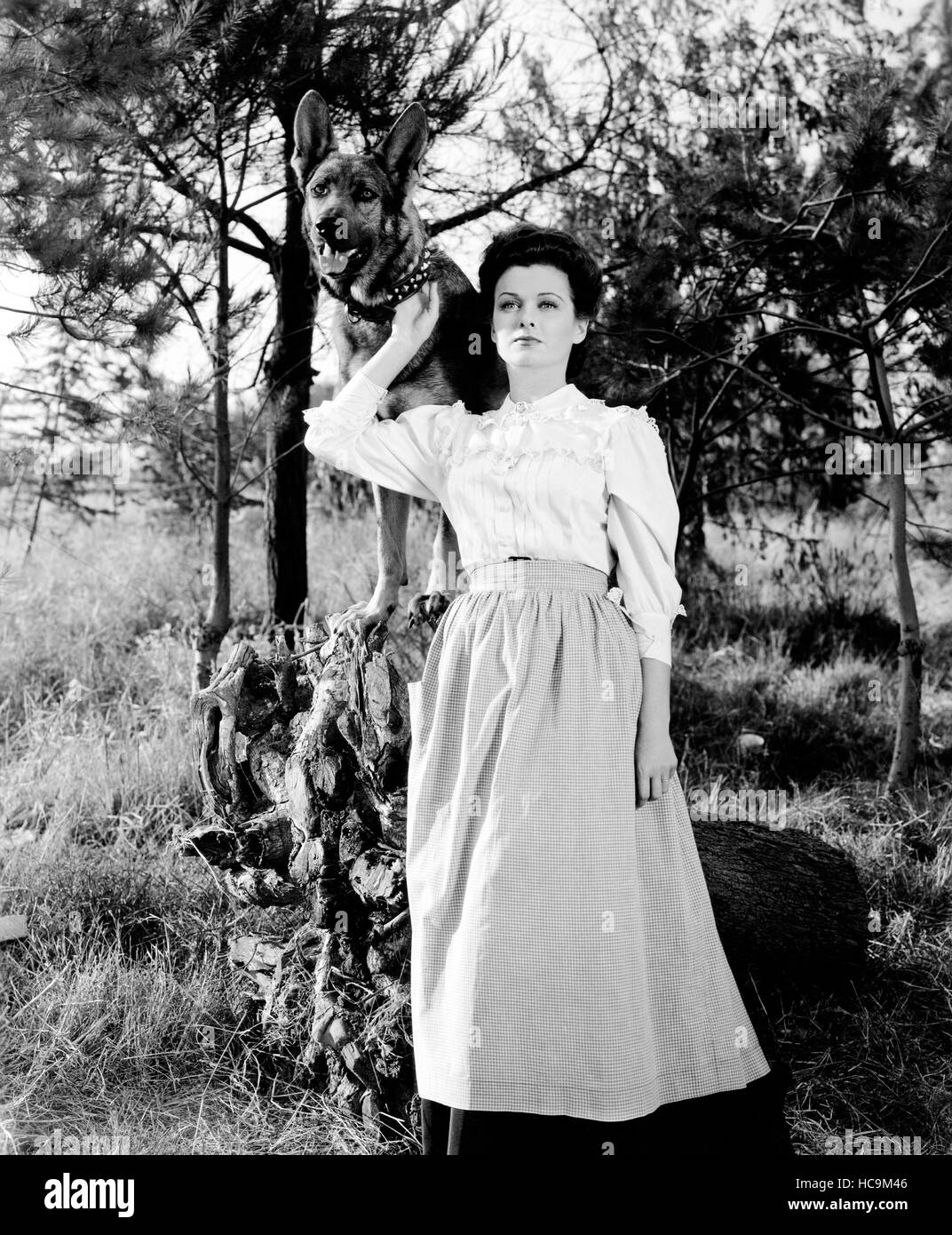 WILD GEESE CALLING, Joan Bennett, 1941, TM & Copyright © 20th Century ...