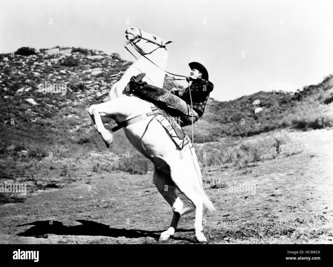 WILD STALLION, Ben Johnson, 1952 Stock Photo - Alamy