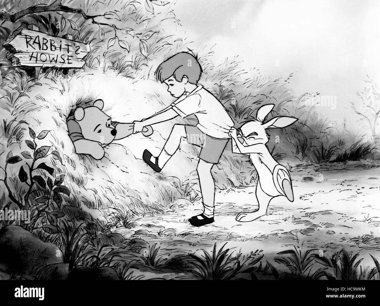 WINNIE THE POOH AND THE HONEY TREE, from left, Winnie the Pooh ...