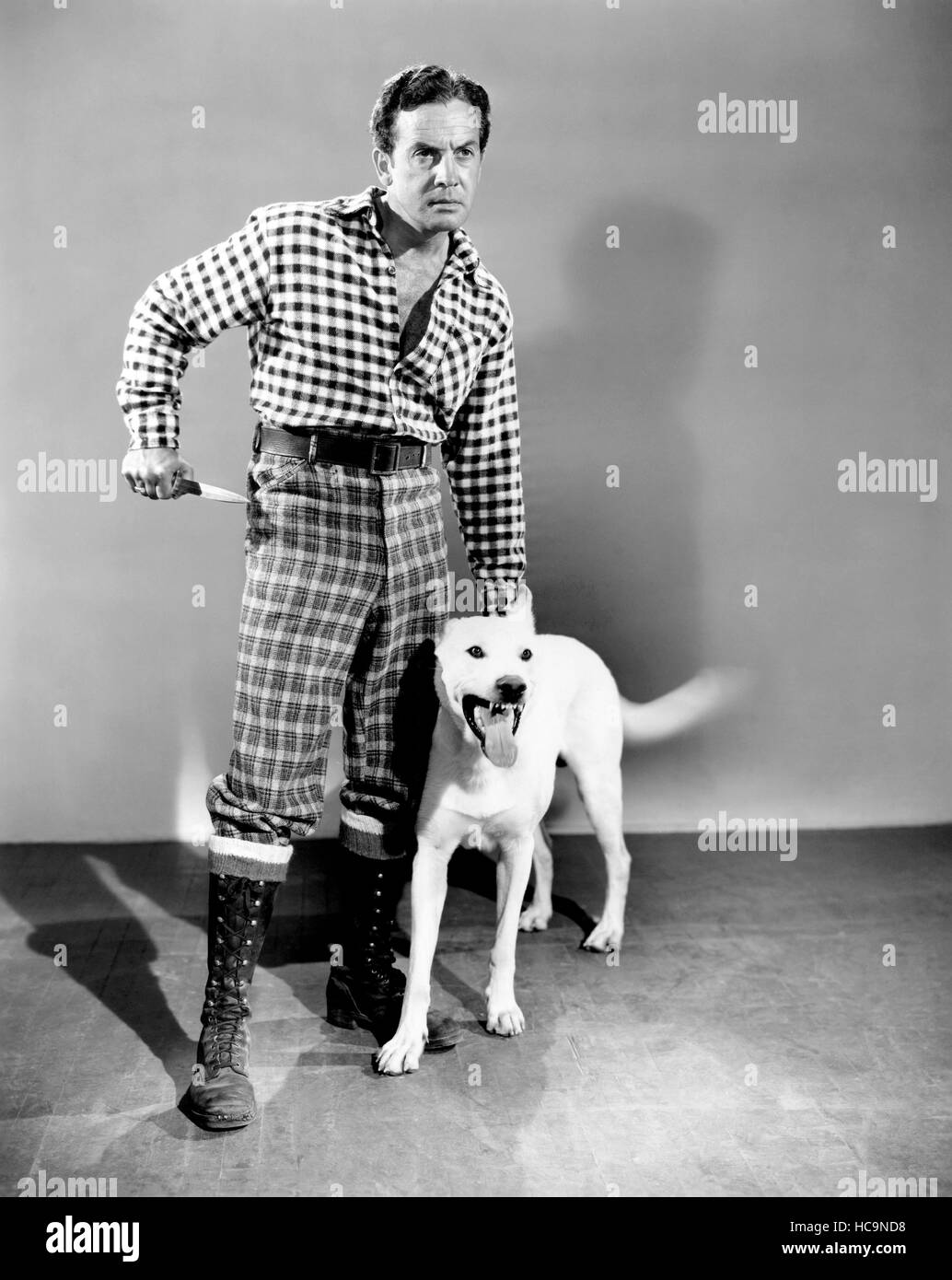 THE WOLF HUNTERS, from left, Edward Norris, Chinook the dog, 1949 Stock ...
