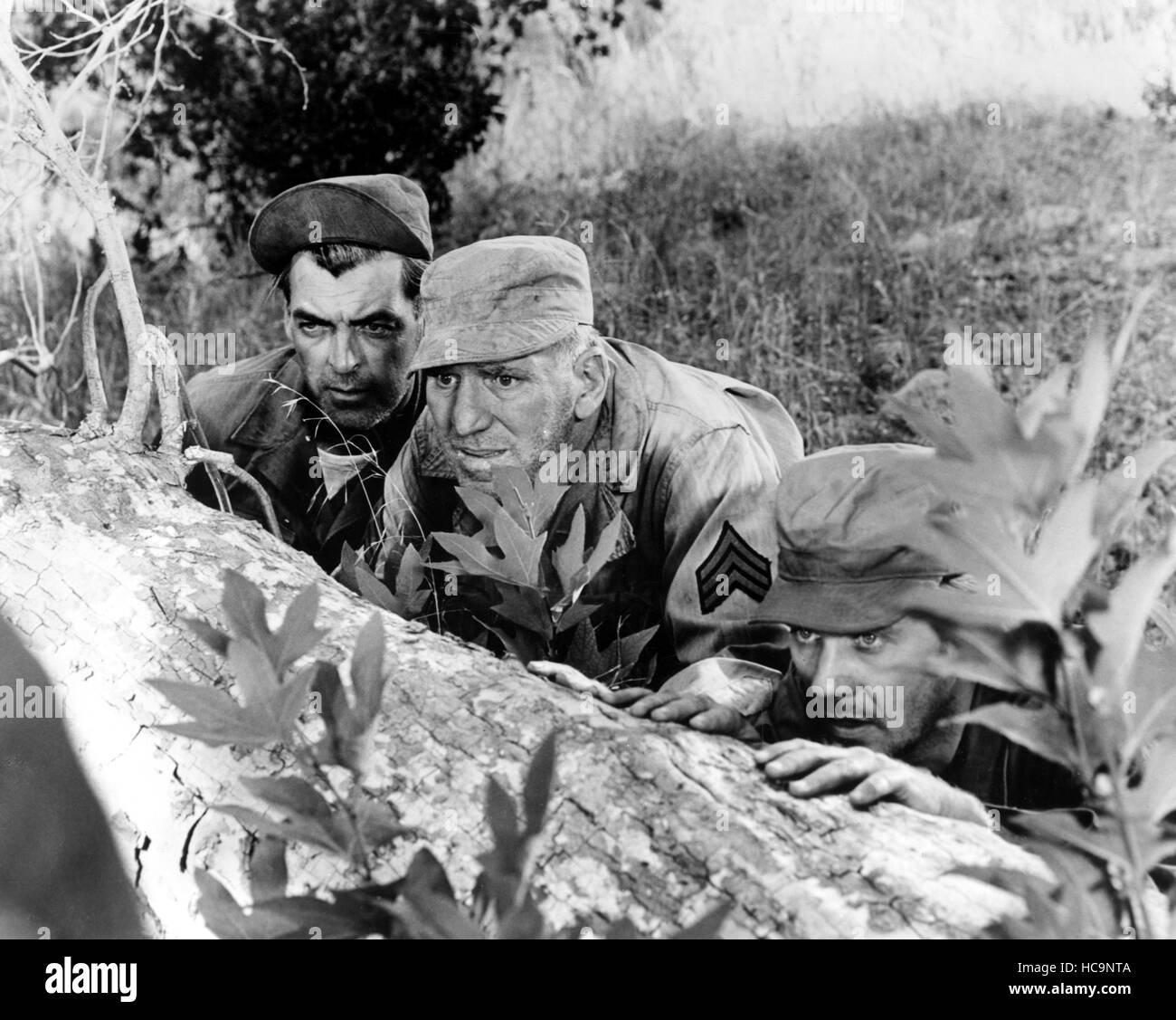 THE YOUNG AND THE BRAVE, Rory Calhoun, William Bendix, Robert Ivers ...