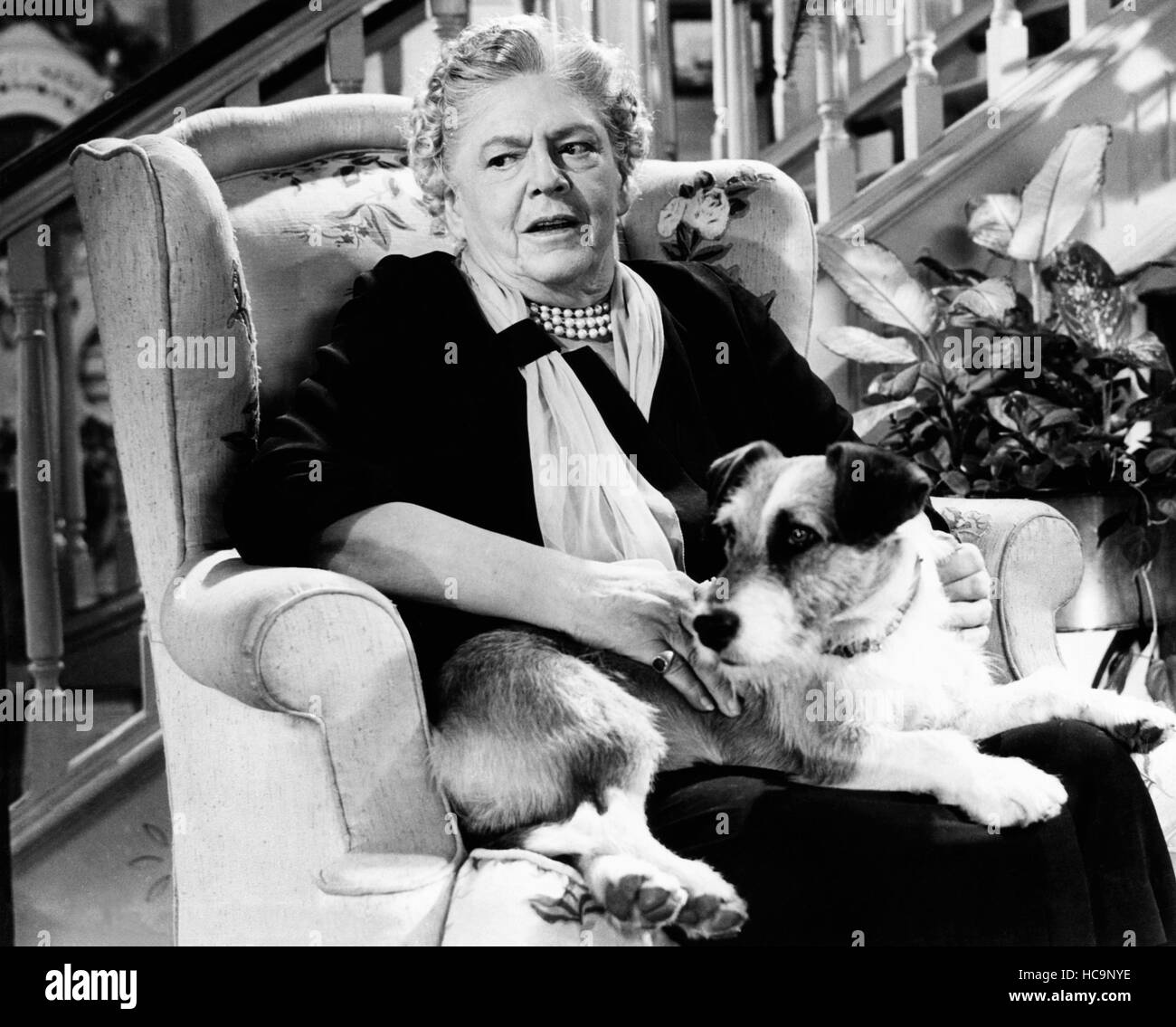 YOUNG AT HEART, Ethel Barrymore, 1954 Stock Photo - Alamy