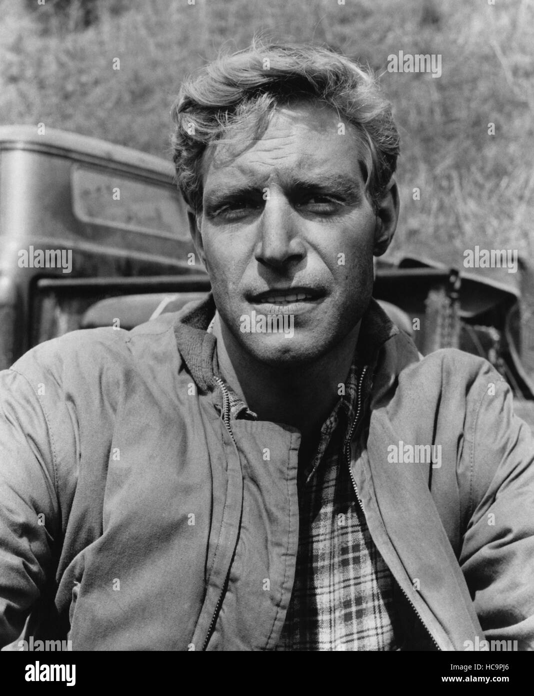 YOUNGBLOOD HAWKE, James Franciscus, 1964 Stock Photo - Alamy