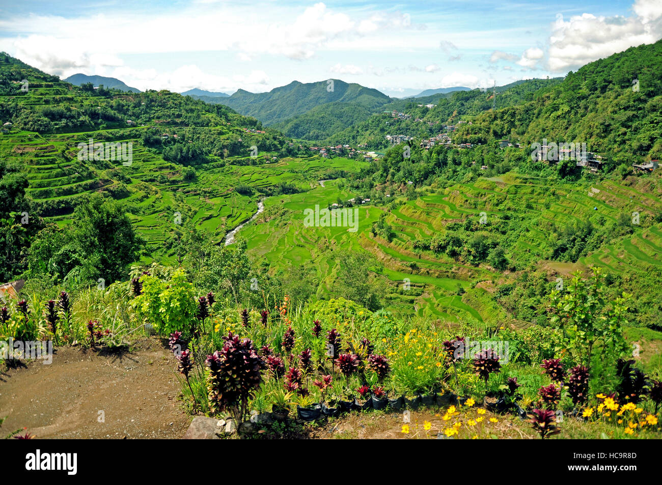 Banaue rice terraces hi-res stock photography and images - Alamy